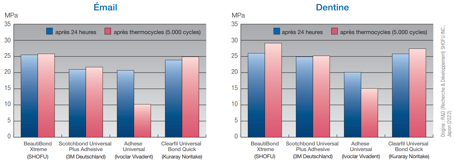 BeautiBond Xtreme : Un vrai adhésif universel | société Dexter